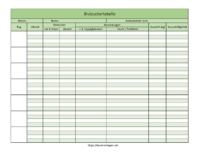 Blutdruck & Blutzucker Erfassung mit Excel